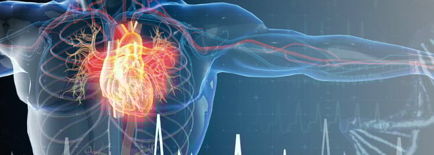 MenaQ7: Benefits, Testing, and Recommendations